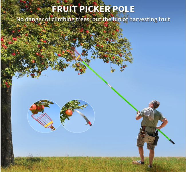 The-Complete Guide to Harvesting Fruits Using an Apple Picker Pole