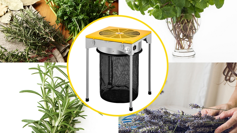 The Best Bud Leaf Trimmer Reviews and Buying Guide