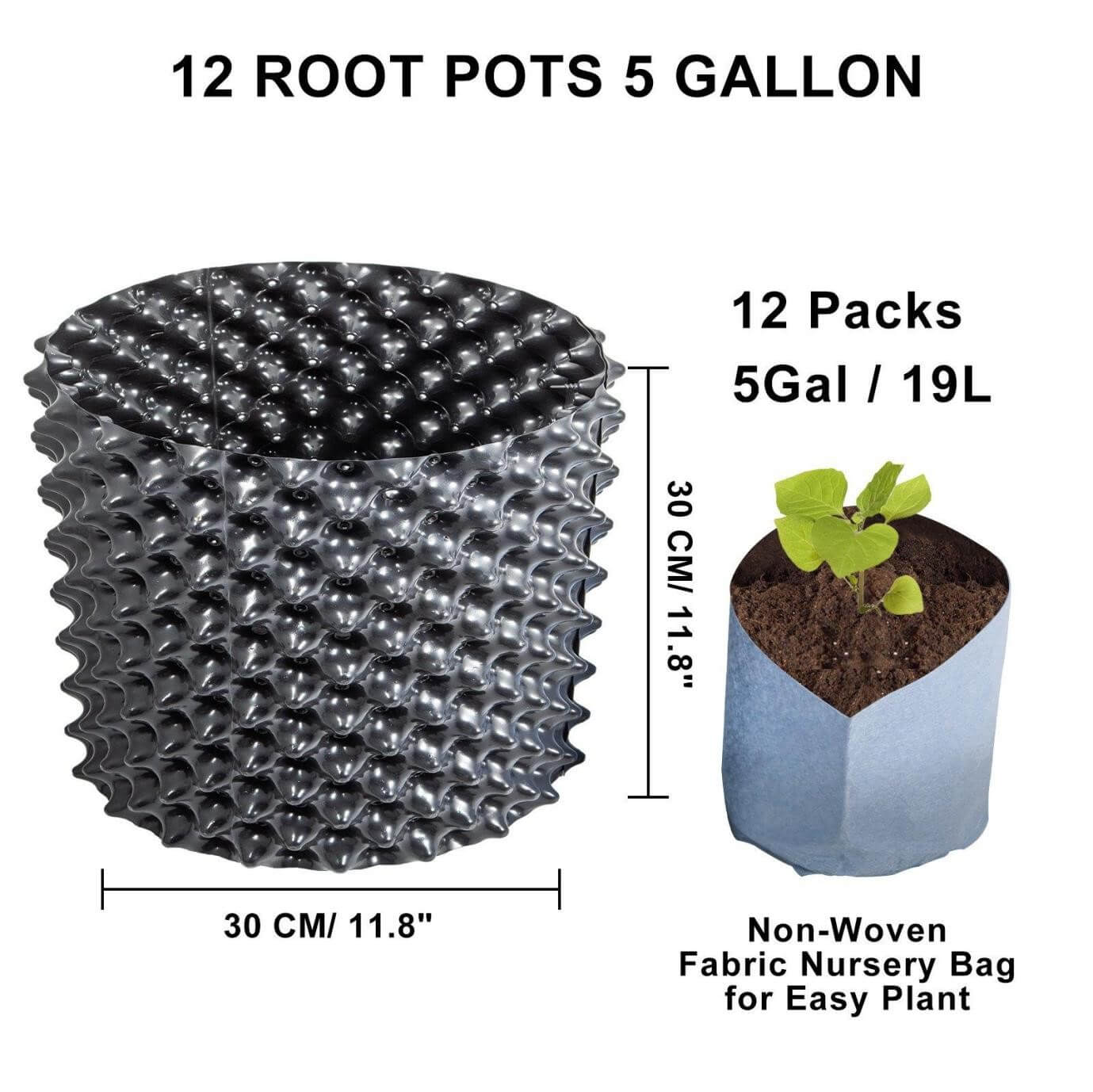 What are the Top 5 Air Pod Root Pots?